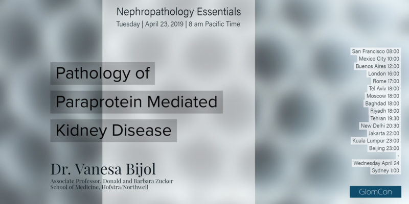 Pathology of Paraprotein Mediated Kidney Disease – GlomCon (pubs)