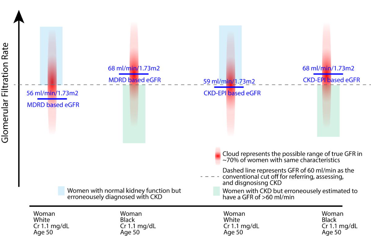 Shortcomings of the current GFR estimating equations – GlomCon (pubs)