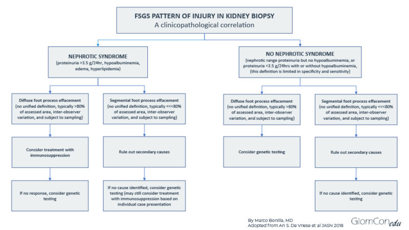 Genetic FSGS – GlomCon (pubs)
