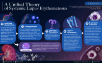 Lupus Nephritis Pathophysiology and Histopathology Infographics ...
