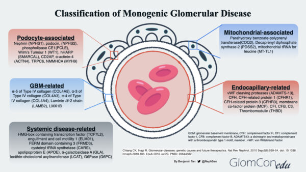 Genomics in Glomerular Disease: From Bench to Bedside – GlomCon (pubs)