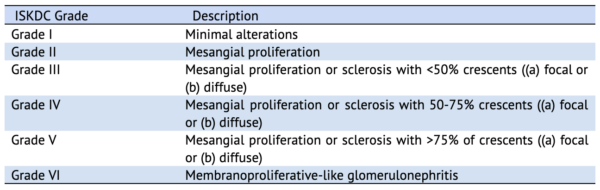 IgA Vasculitis Associated with Nephritis: Mini-Review – GlomCon (pubs)