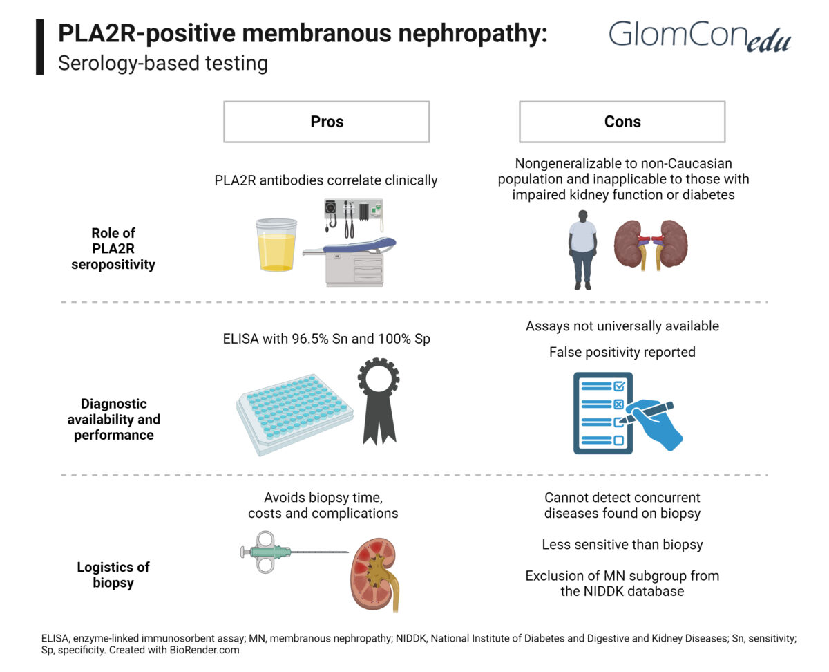 Pros and Cons of Serology-Based Testing for Primary Membranous ...