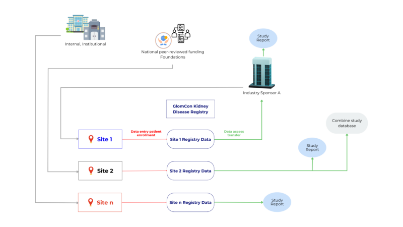 Strengthening Kidney Disease Research and Care Through GlomCon’s Global ...